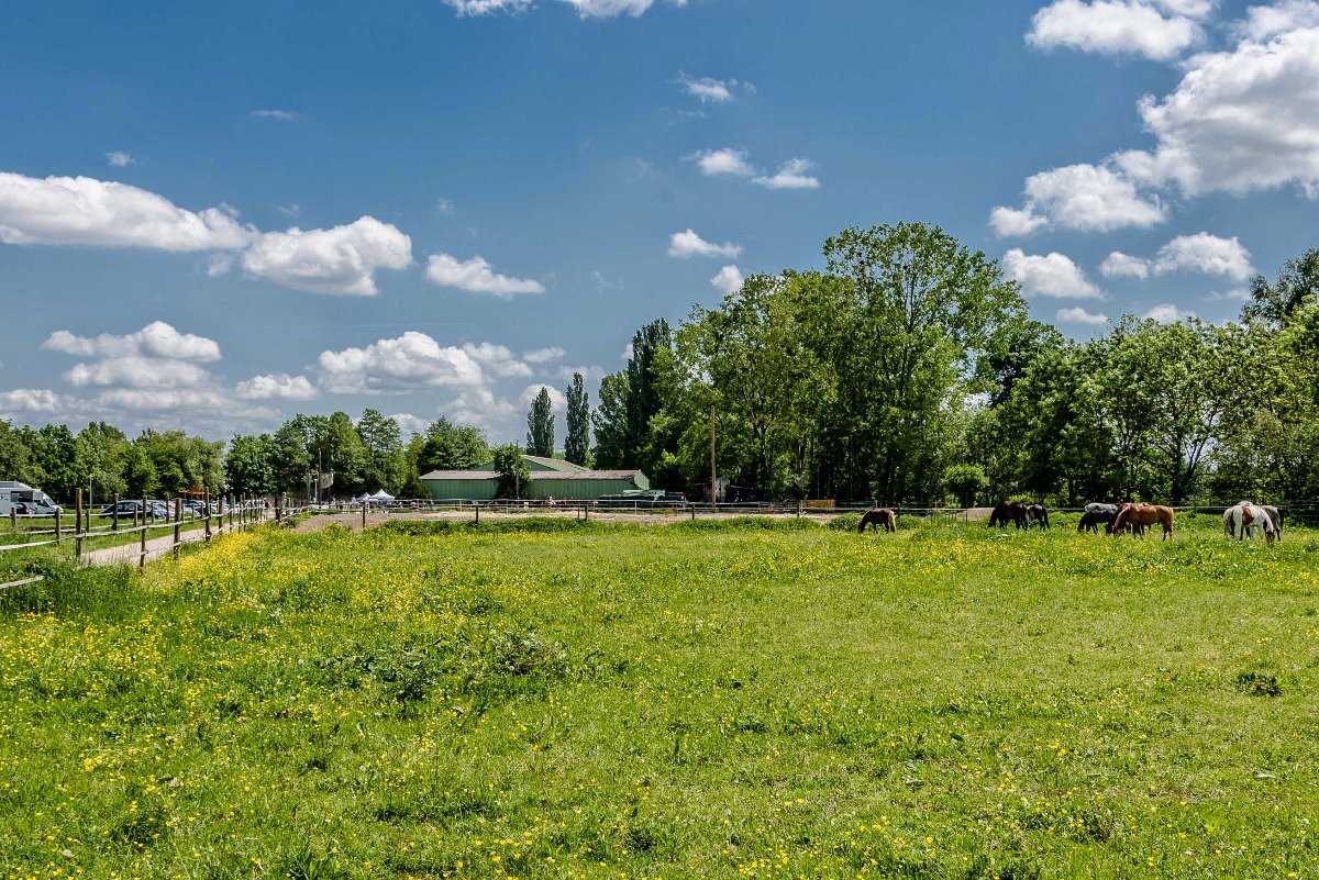 Les installations - Club Hippique d'Eckbolsheim