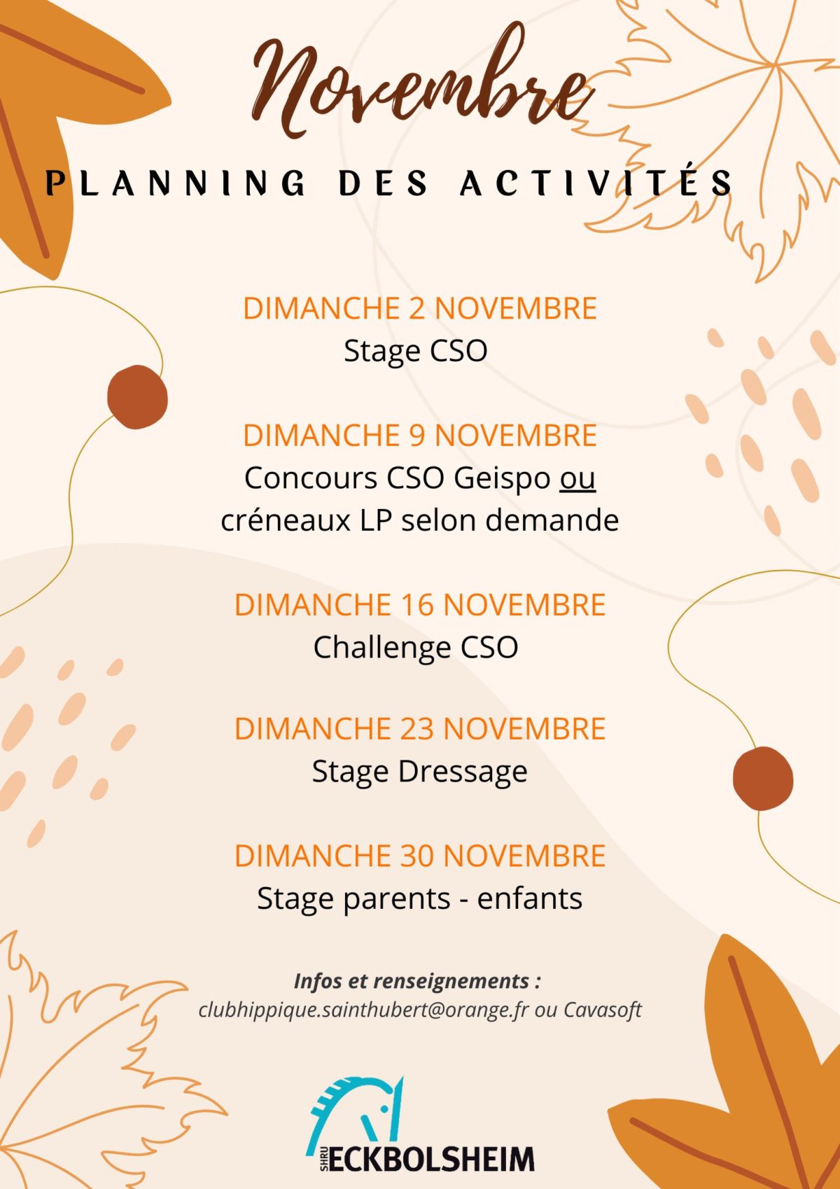 Activités des dimanches de novembre - Club Hippique d'Eckbolsheim